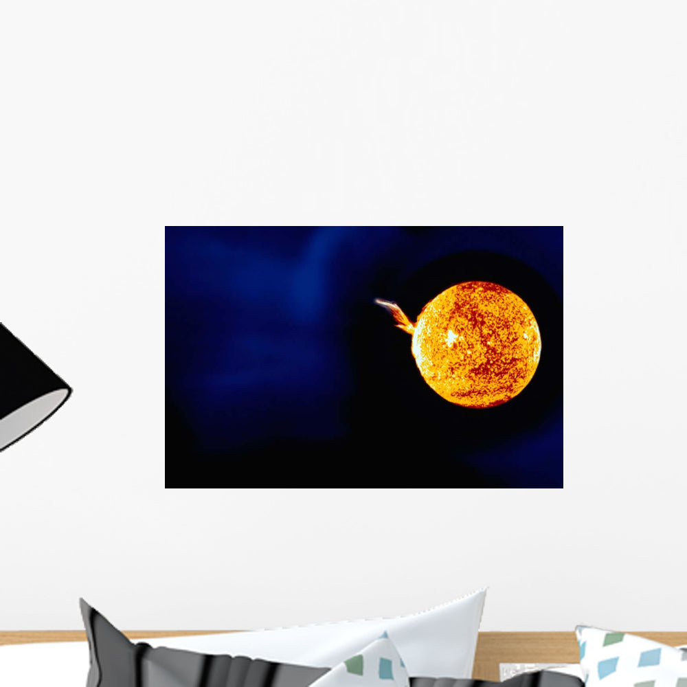 Solar Flare Wall Decal - WallMonkeys.com – Wallmonkeys